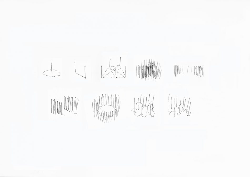 FOREST SPATIAL TYPOLOGIES | LEE YANG YANG